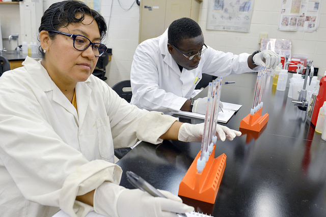 BCC’S MLT Program Makes the Grade – Bronx Community College