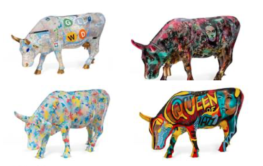 BCC, home of the Broncos, is now hosting cows. – Bronx Community College